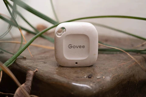 Bioactive Hedgehog Enclosure, Part 4: Lighting, Heating, etc ...