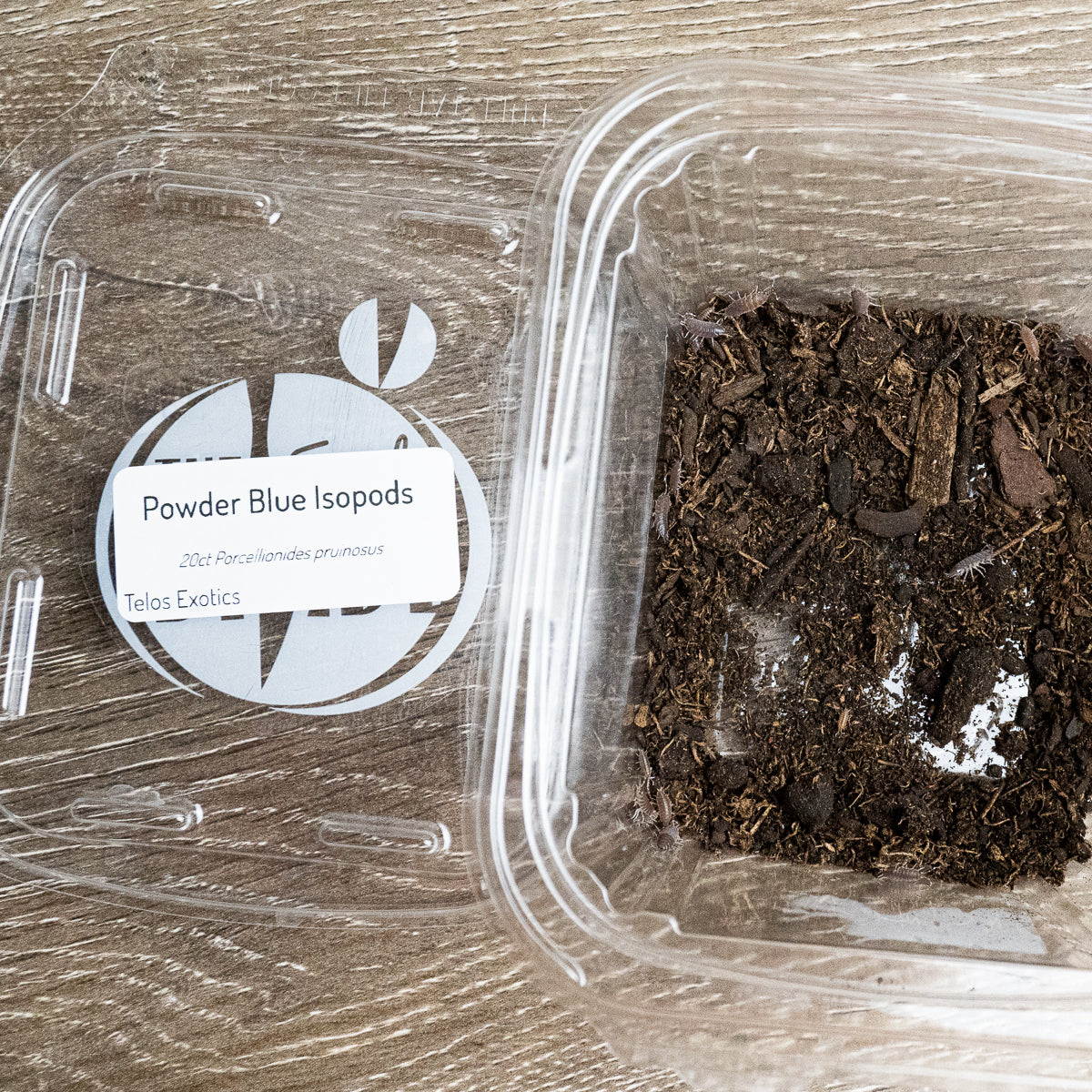 Isopods - Powder Blue – Hedgehog Precision